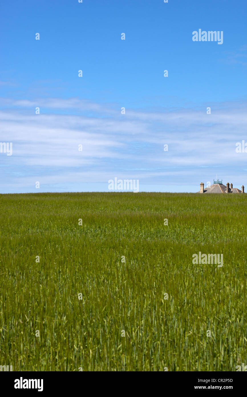 Partially obscured view hi-res stock photography and images - Alamy