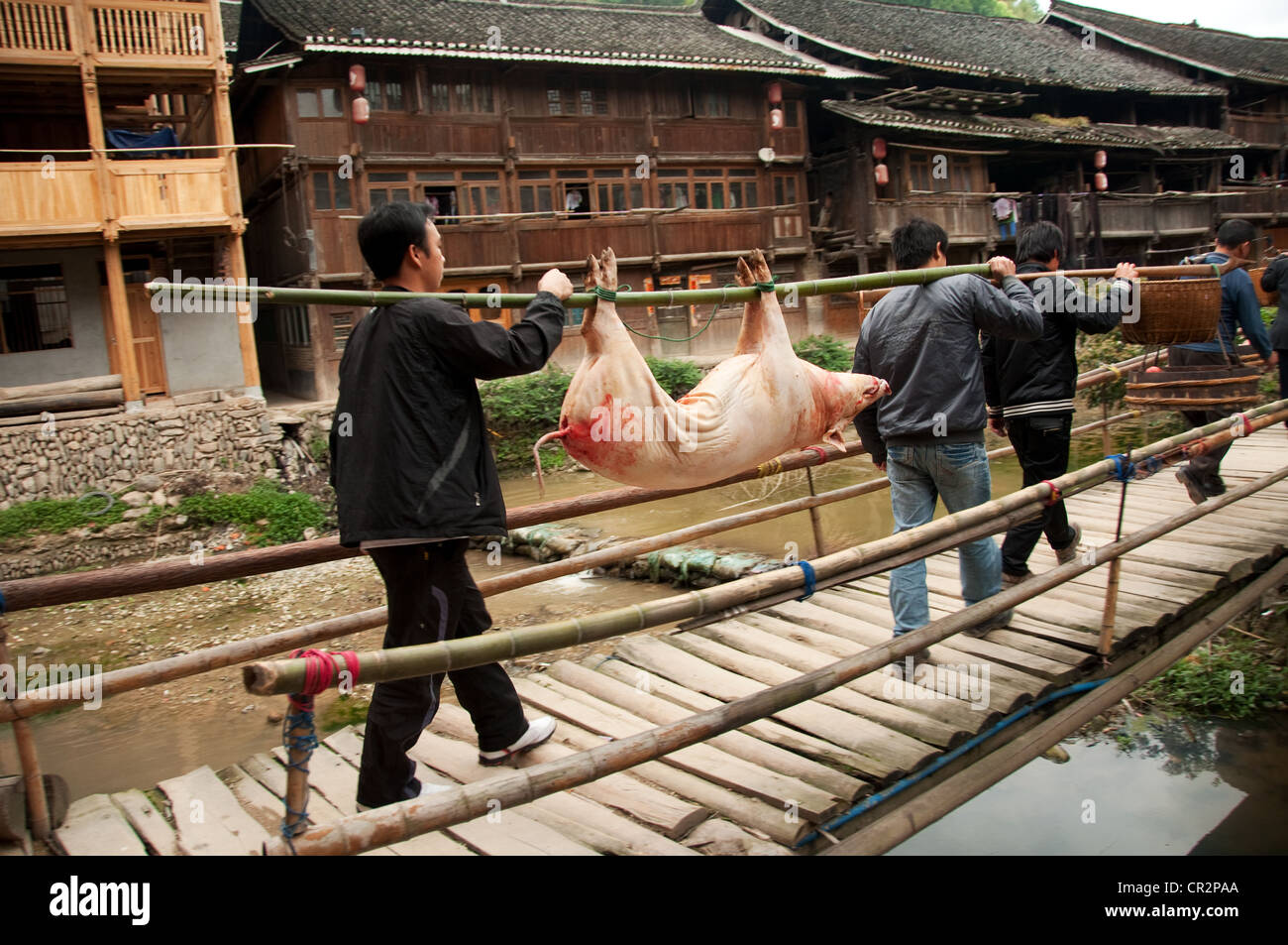 Dead pig hi-res stock photography and images - Alamy