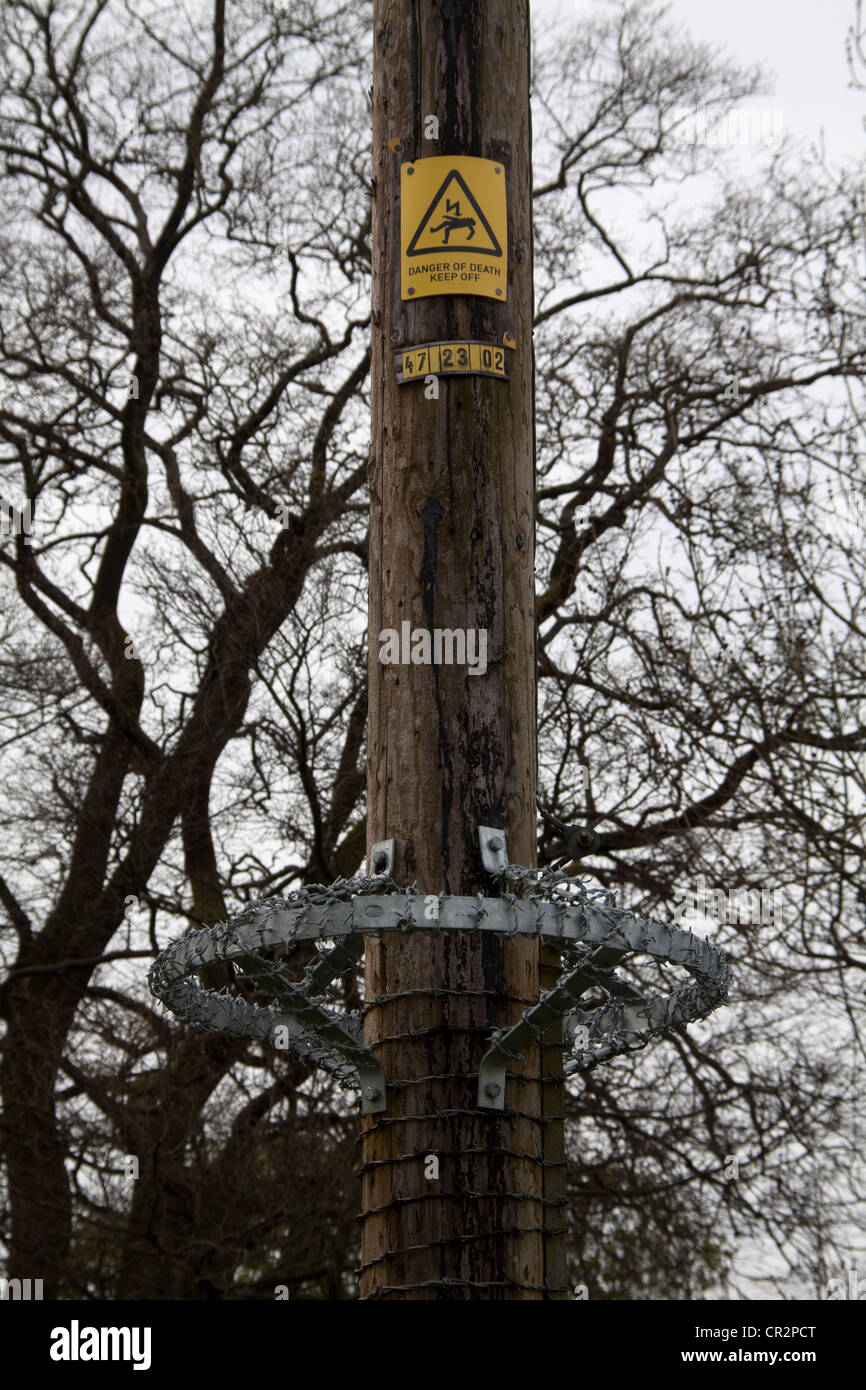Electricity pole barbed wire warning hi-res stock photography and ...