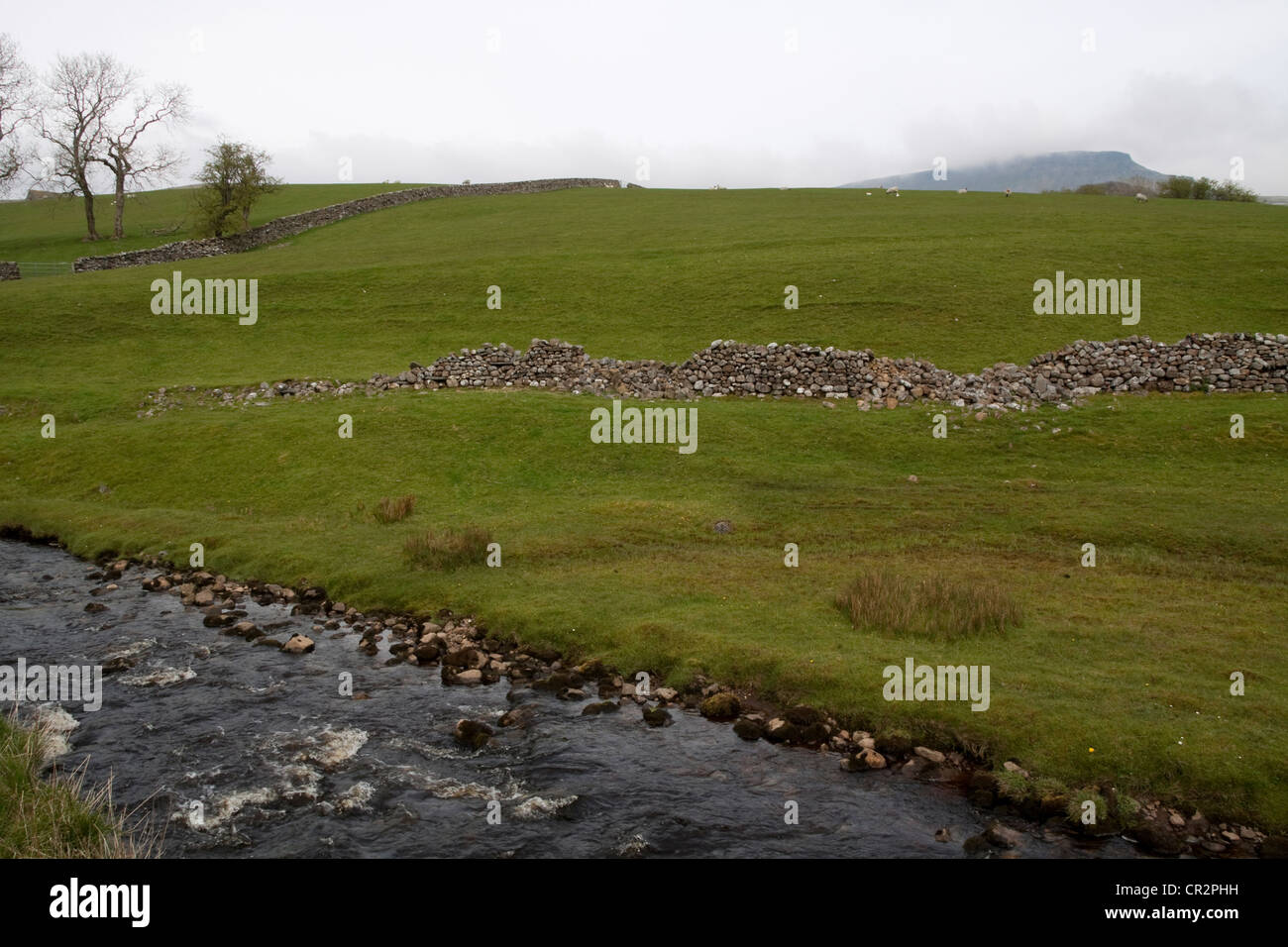 Horton Beck River Stock Photo - Alamy