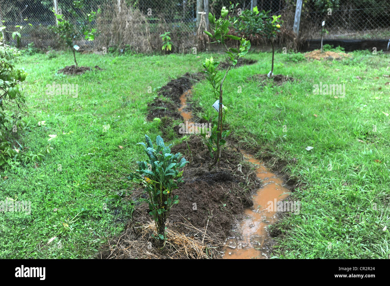 Permaculture stage one...Drain or swale Stock Photo - Alamy