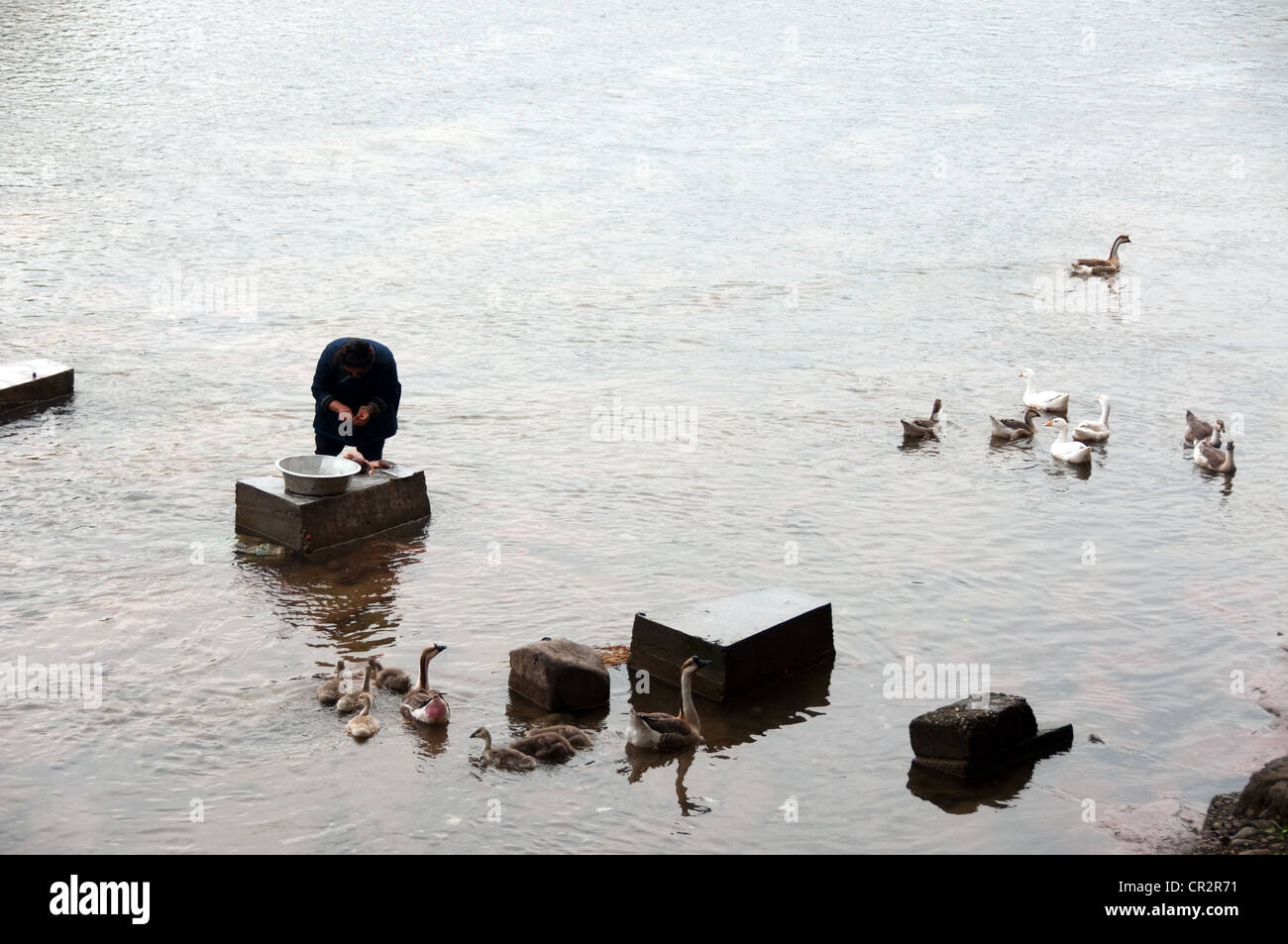 A woman slaughtering a duck in the middle of a river, Chejiang Dong ...