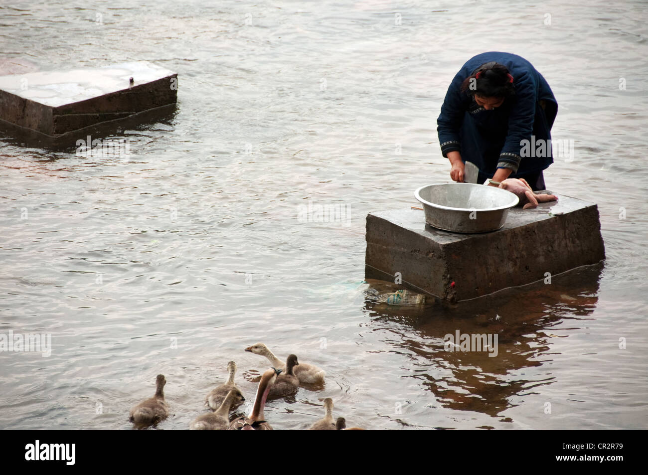 A woman slaughtering a duck in the middle of a river, Chejiang Dong ...