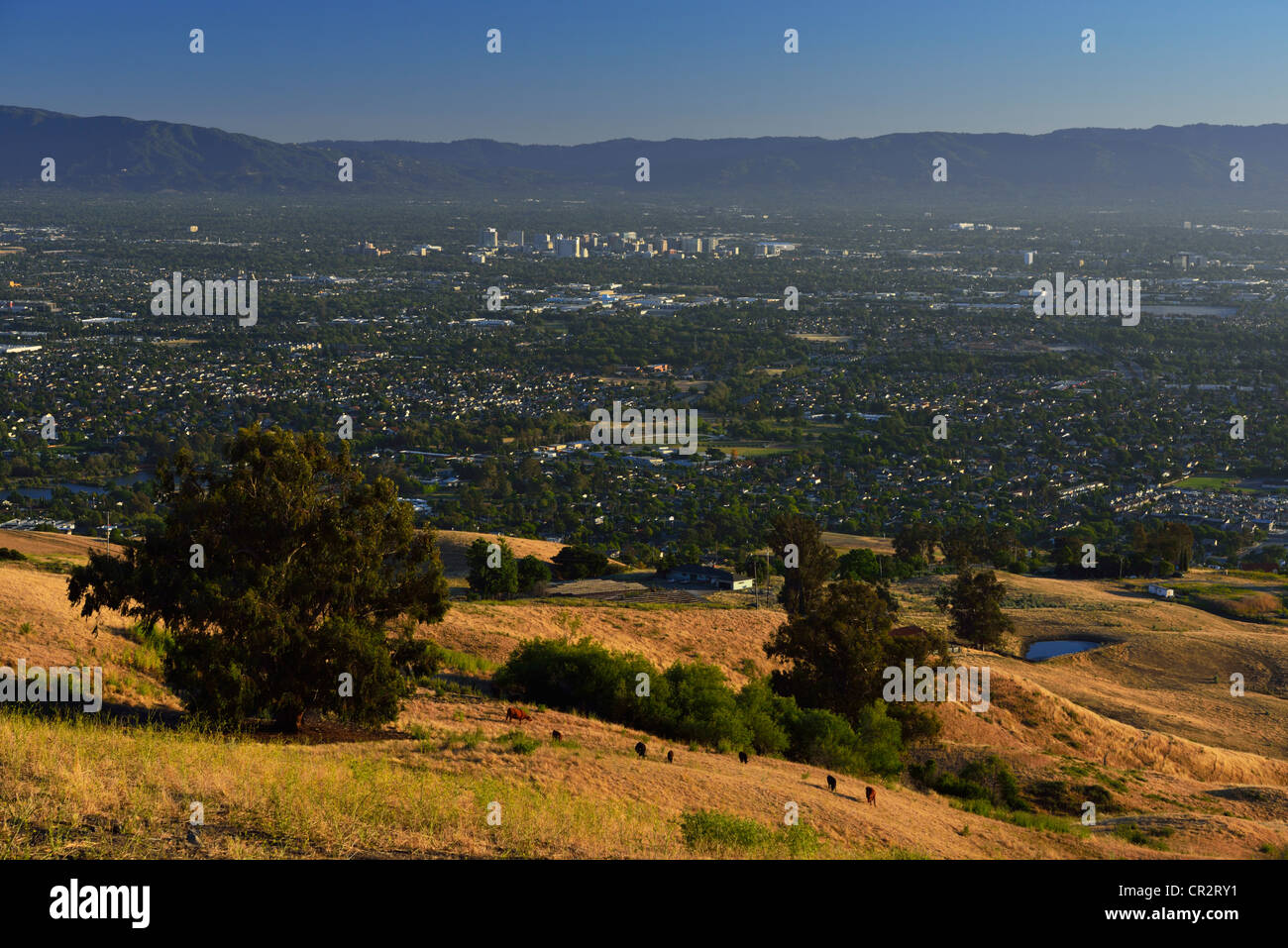 Downtown San Jose seen from the Sierra Eastern Foothills, California CA ...