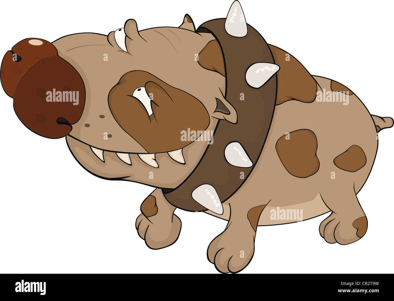 The hunting dog. Boxer Stock Photo - Alamy