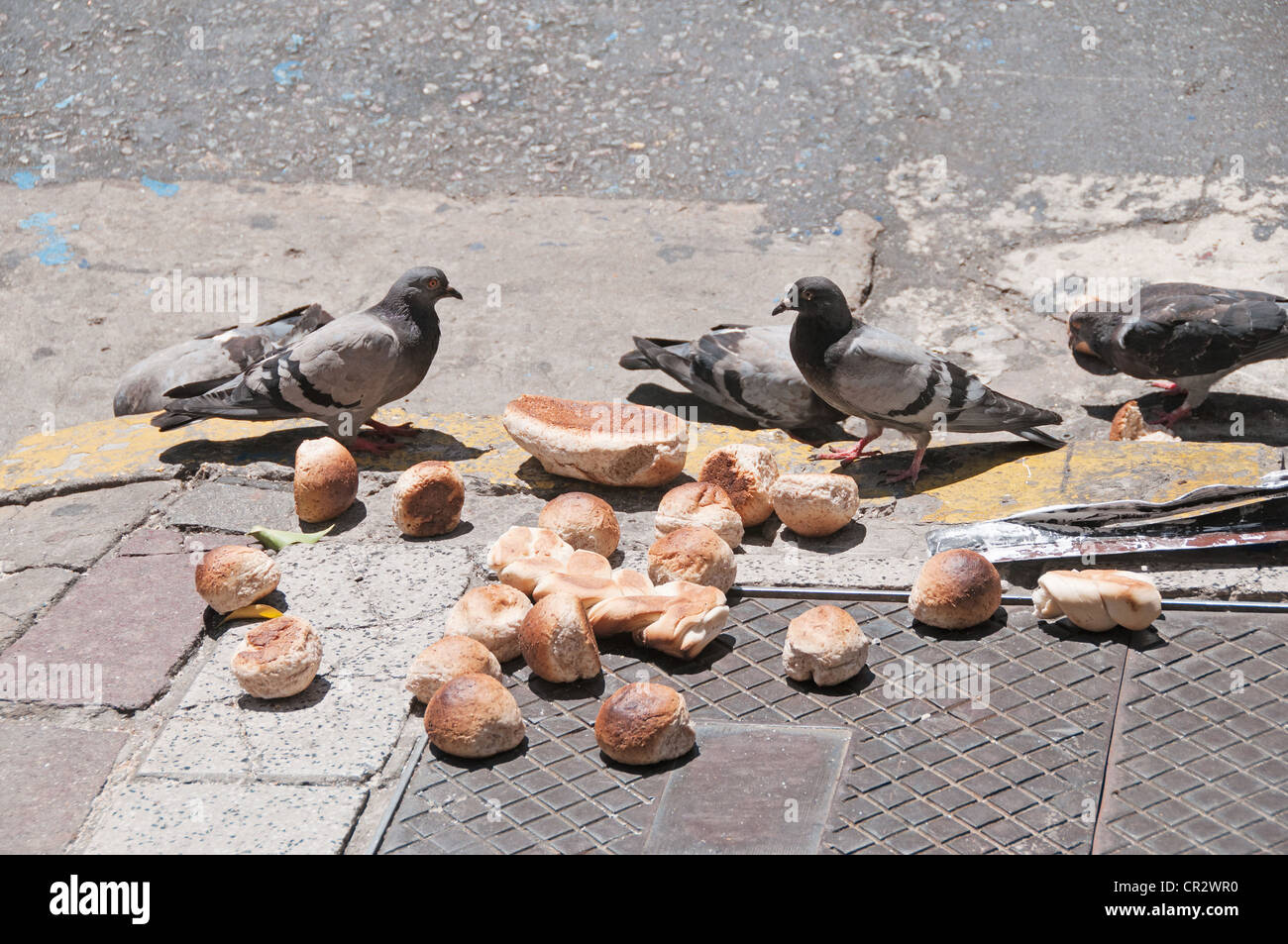 Pigeons eating hi-res stock photography and images - Alamy