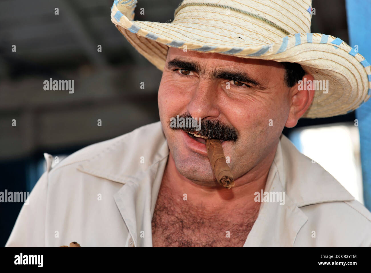 Tobacco farmer smoking a cigar, Tobacco (Nicotiana), tobacco ...