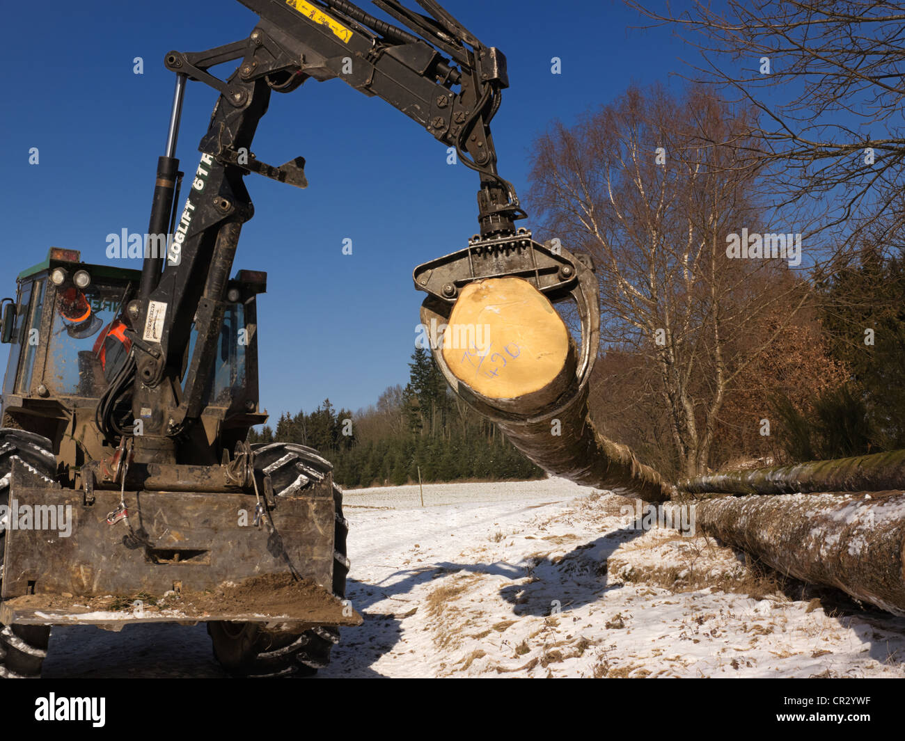 Logging, felled wood being processed into lumber, Freiamt, Black Forest ...