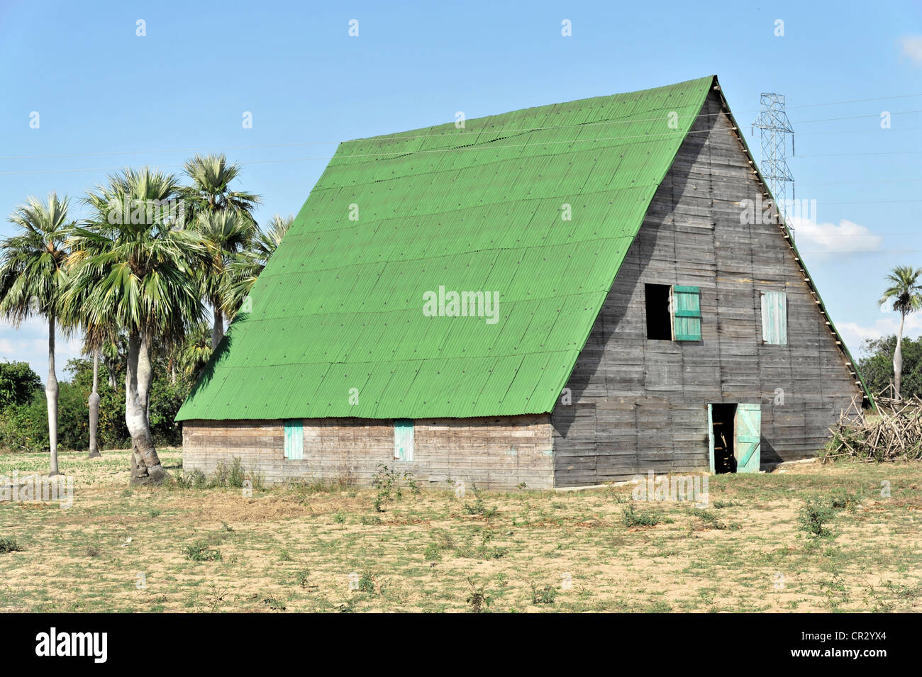 Tobacco curing barn near Vinales, Valle de Vinales, Cuba, Greater ...