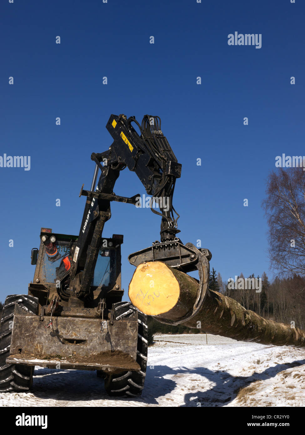 Logging, felled wood being processed into lumber, Freiamt, Black Forest ...