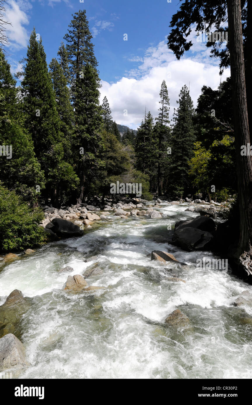 Merced River, Yosemite National Park, California, USA, North America ...