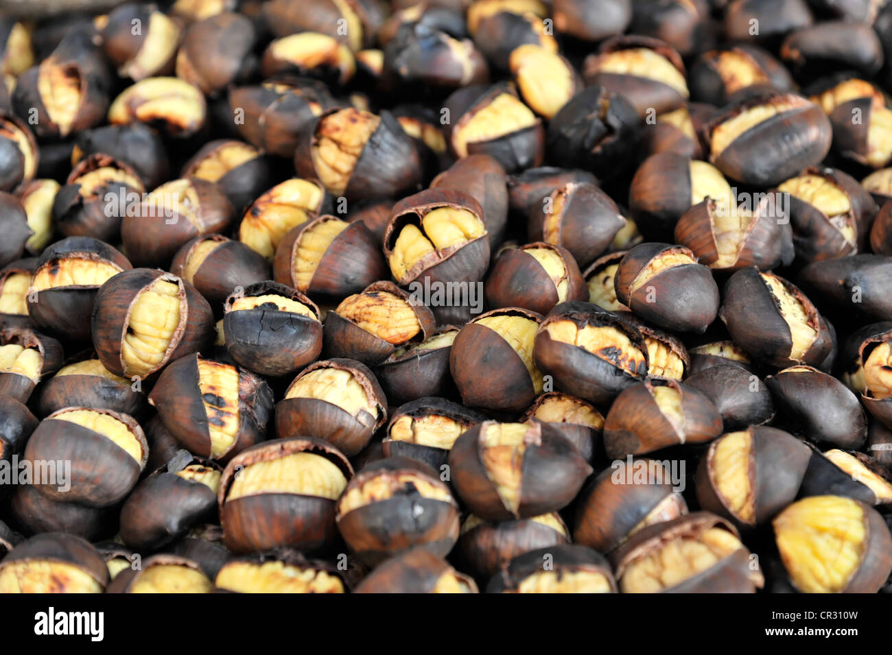 Caldarroste, roasted chestnuts, Milan, Italy, Europe Stock Photo - Alamy