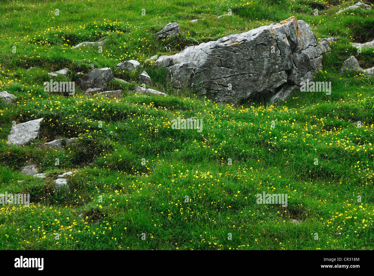 Wildlife trust nature reserve hi-res stock photography and images - Alamy