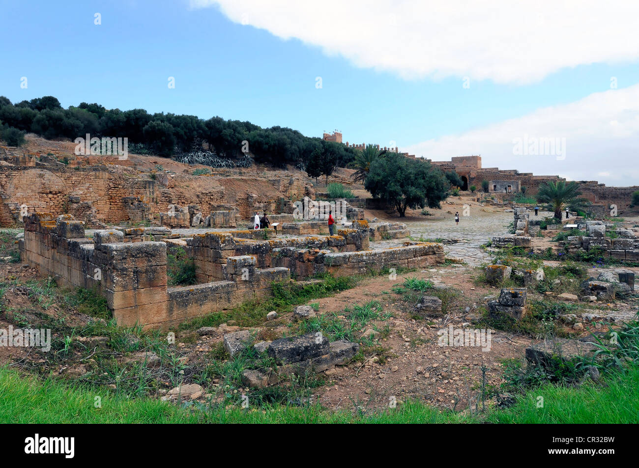 Chellah Necropolis, Merinid dynasty, with Roman-Byzantine ruins ...
