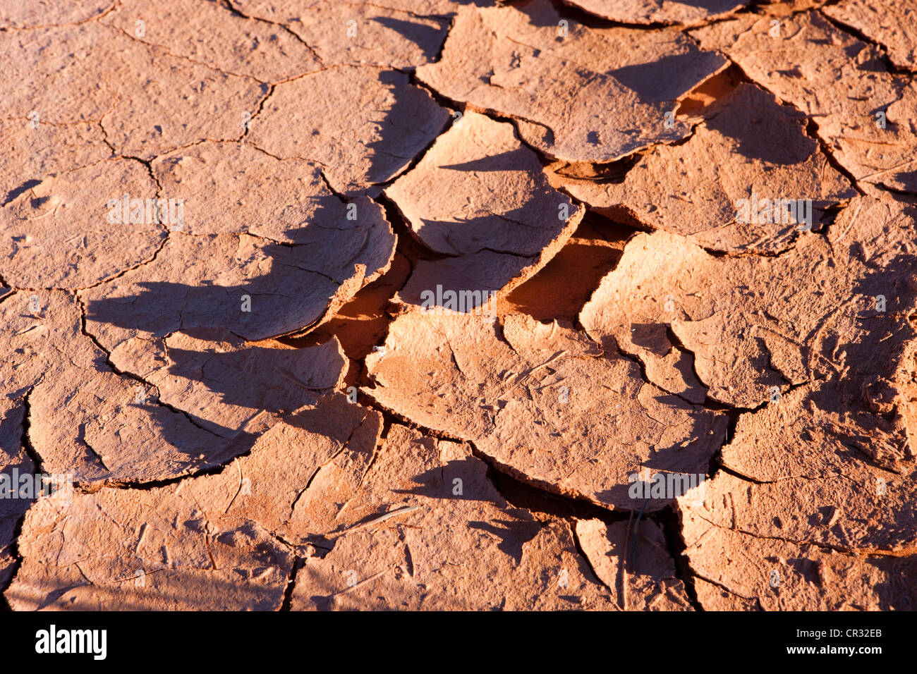 Parched ground in the outback, Northern Territory, Australia Stock ...