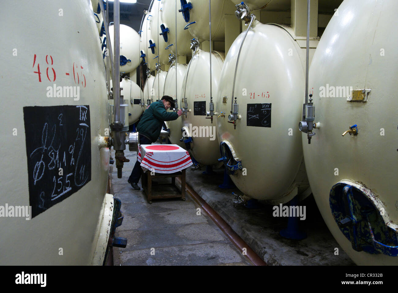 Beer storage at the Budweiser brewery in Ceske Budejovice, Budweis ...