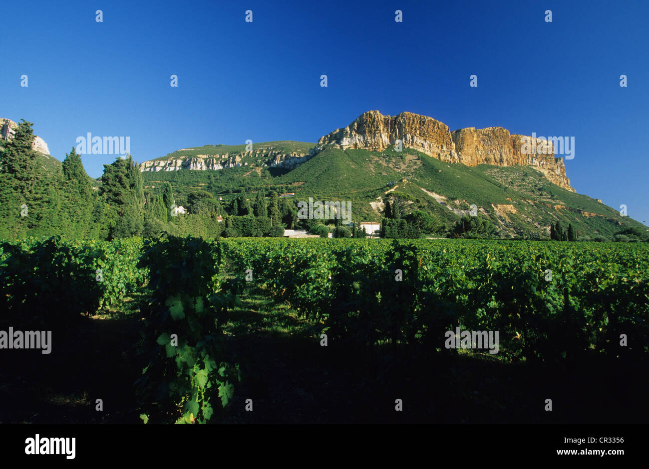 Cassis vineyard clos sainte magdeleine hi-res stock photography and ...