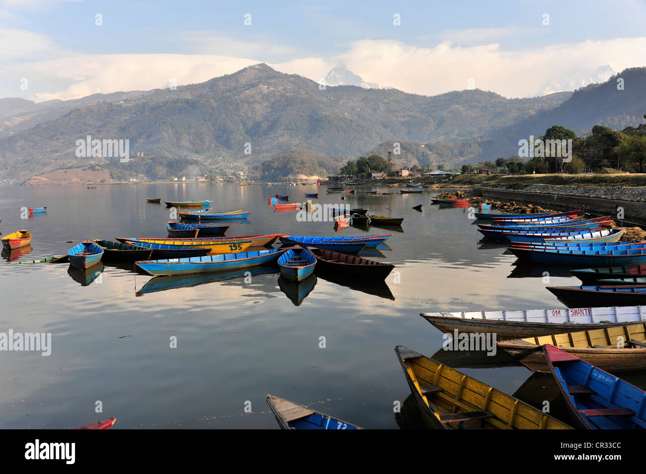 Rowing boats, view of the Phewa Lake, Pokhara, Nepal, Asia Stock Photo ...