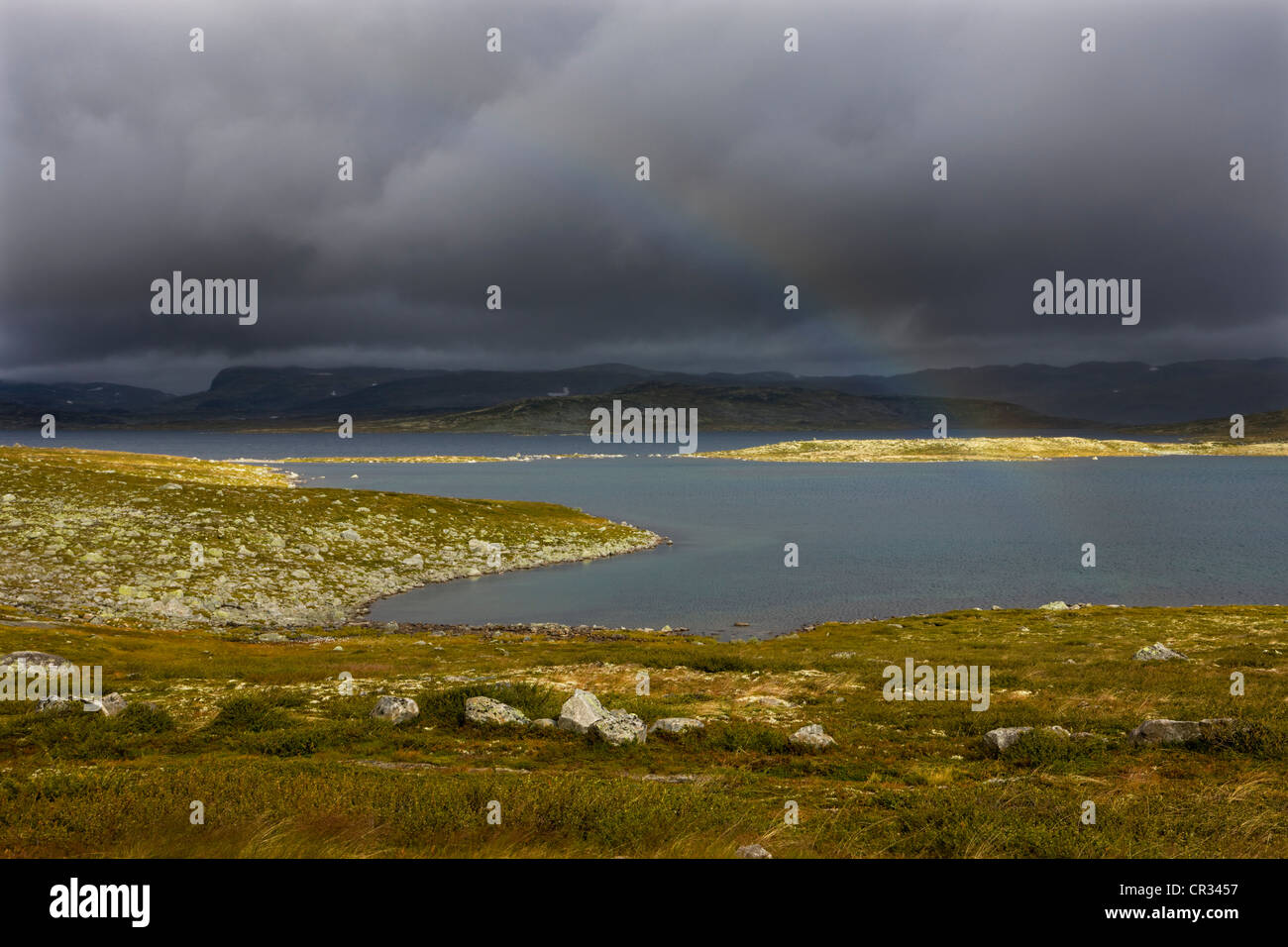 Fjell landscape, Norway, Scandinavia, Europe Stock Photo - Alamy