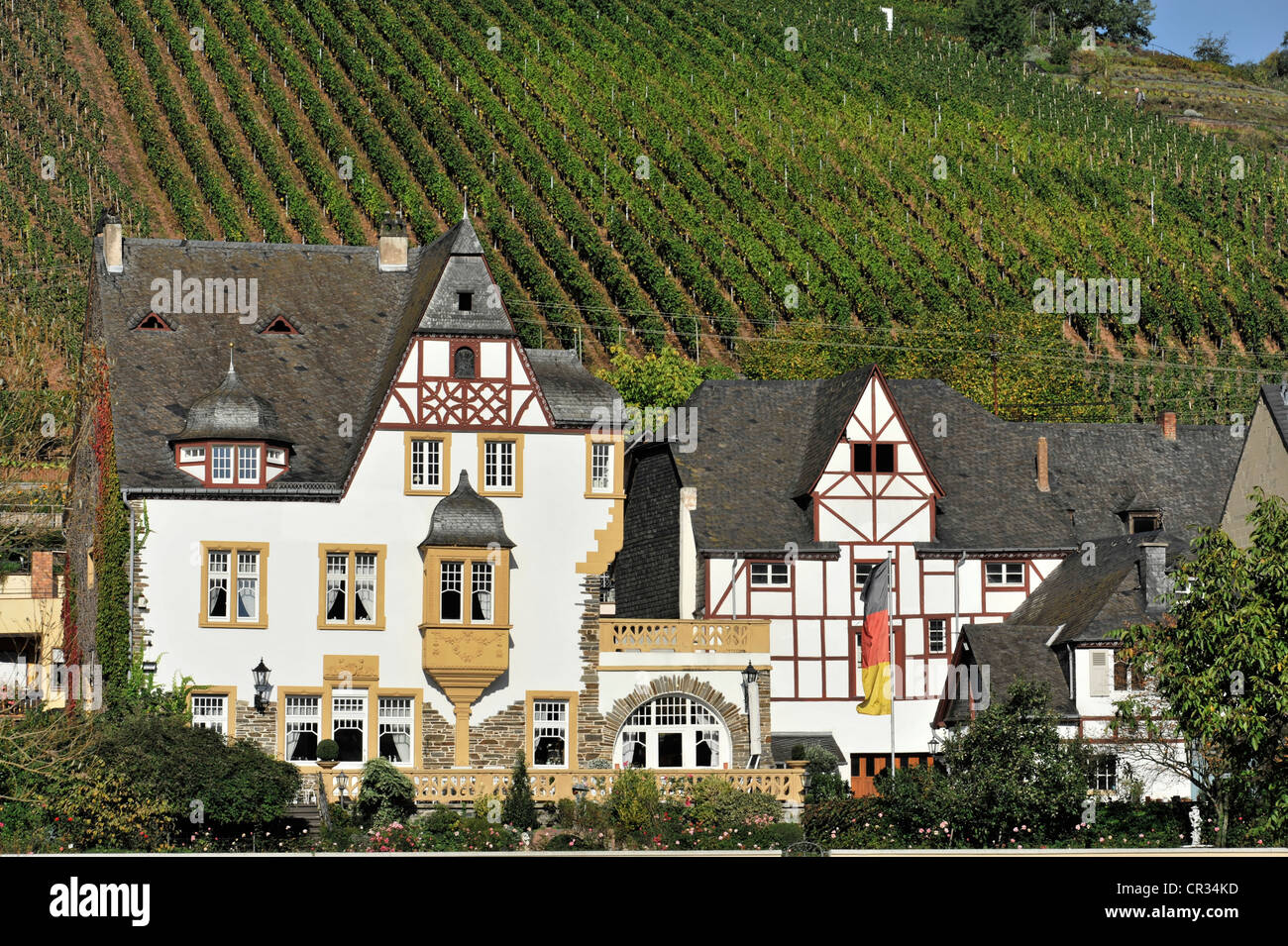 Wine region estate hi-res stock photography and images - Alamy