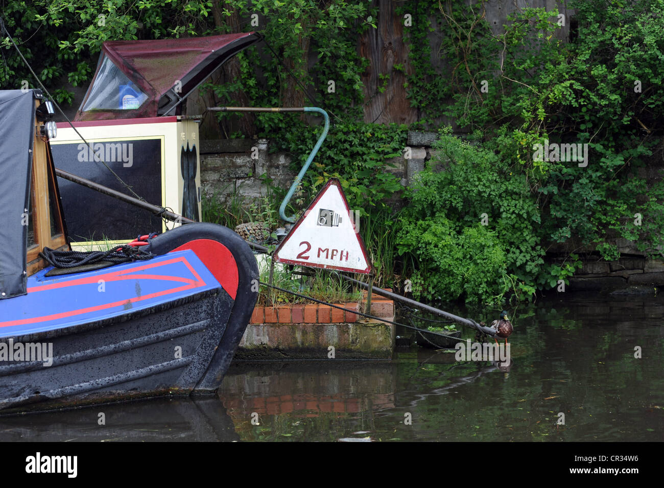 A duck standing next to a 2mph sign on the Trent & Mersey and Staffs ...