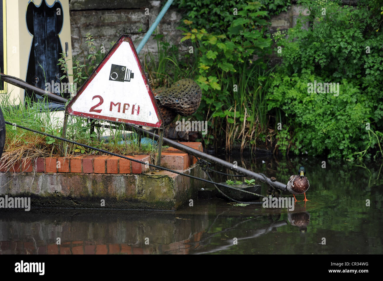 A duck standing next to a 2mph sign on the Trent & Mersey and Staffs ...