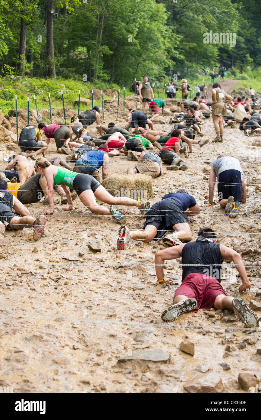 Participants of challenging sprint obstacle trail race, Spartan Race in ...