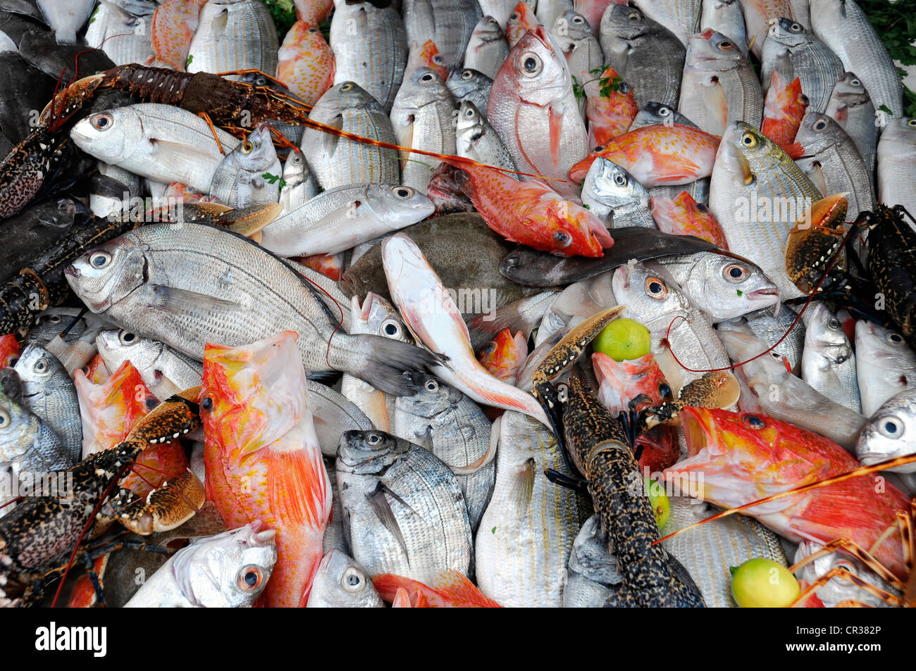 Seafood, fish, fish restaurant, port, Essaouira, Morocco, Africa Stock ...