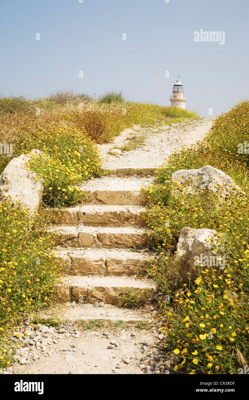 Spring flowers in cyprus hi-res stock photography and images - Alamy