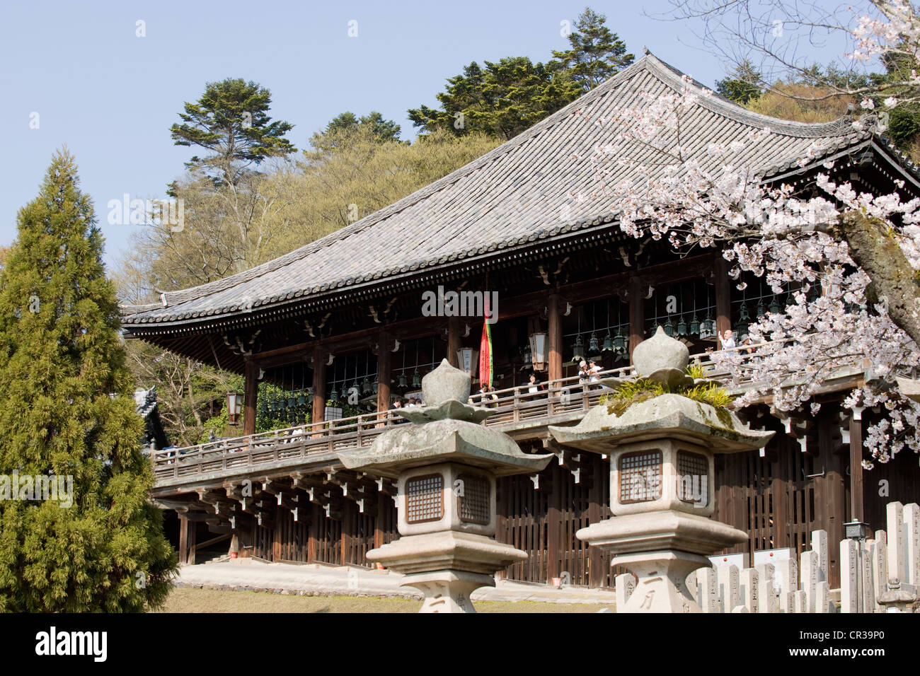 Nara sightseeing hi-res stock photography and images - Alamy