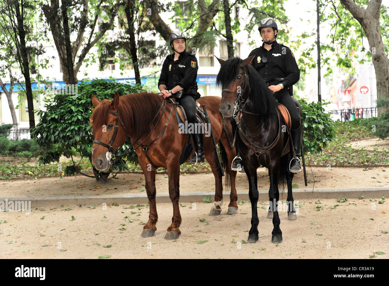 Mounted Police, Plaza de Espana square, Madrid, Spain, Europe Stock ...