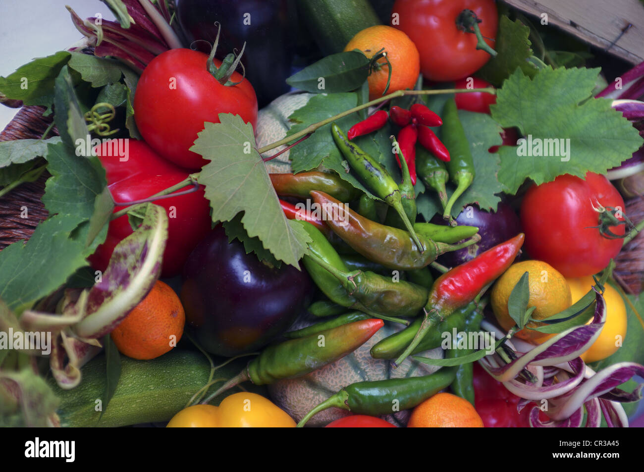 Main food market near hi-res stock photography and images - Alamy