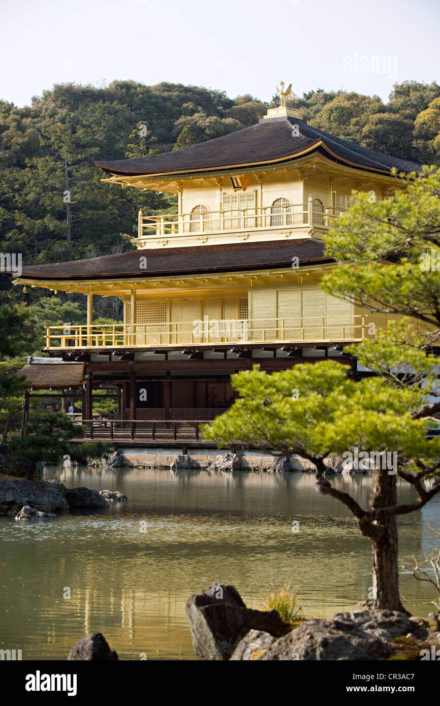 Japan, Honshu Island, Kansai Region, city of Kyoto, Kinkaku ji Temple ...