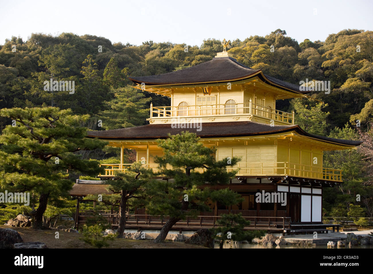 Japan, Honshu Island, Kansai Region, city of Kyoto, Kinkaku ji Temple ...