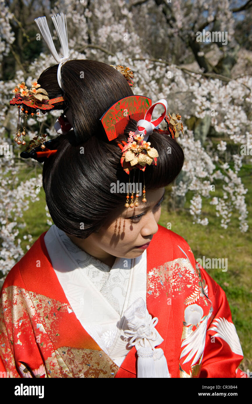 Japan, Honshu Island, Kinki Region, city of Kyoto, the Imperial Park ...