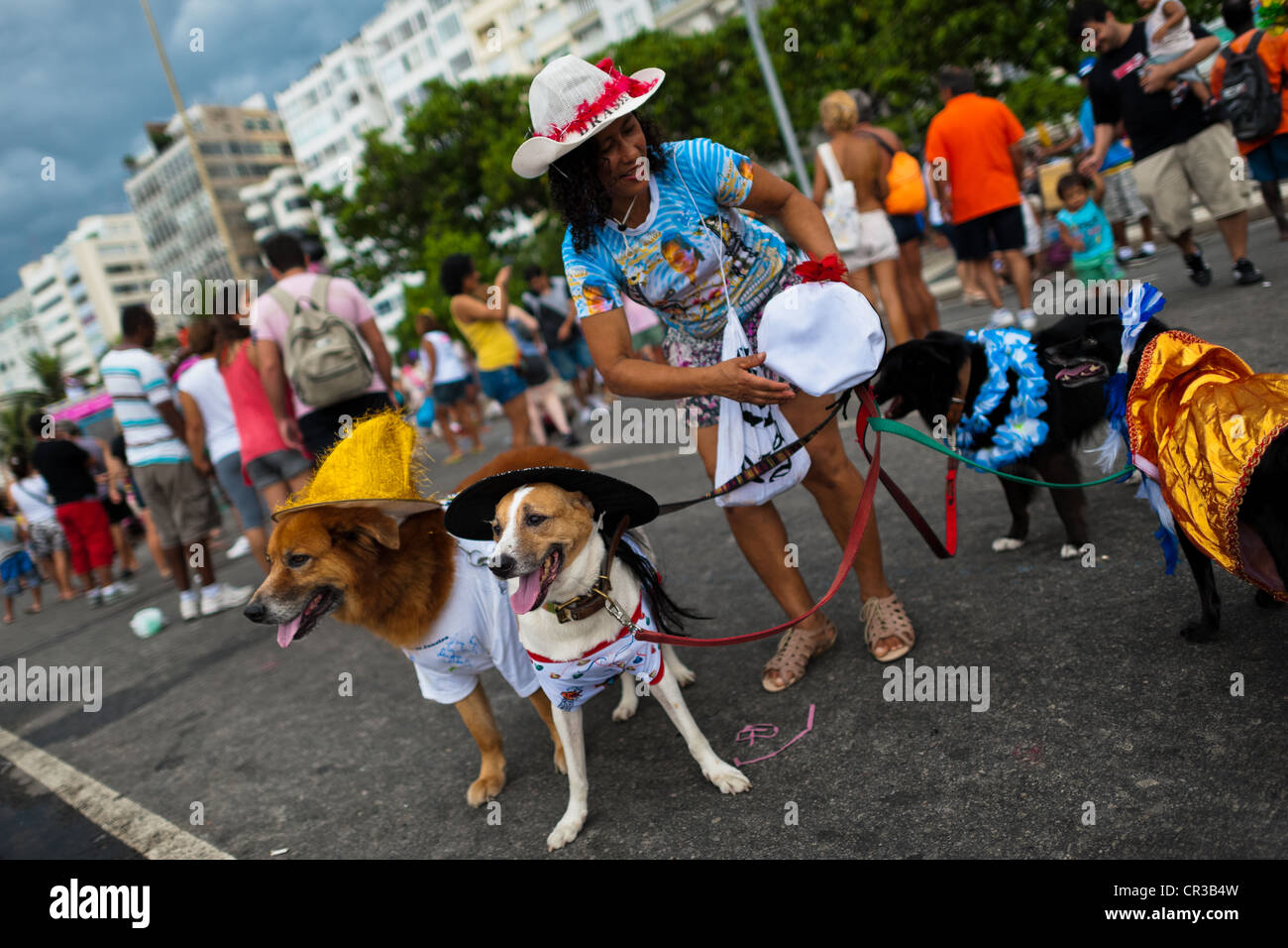 Dogs, dressed in fancy costumes, take part in the Blocao pet carnival ...
