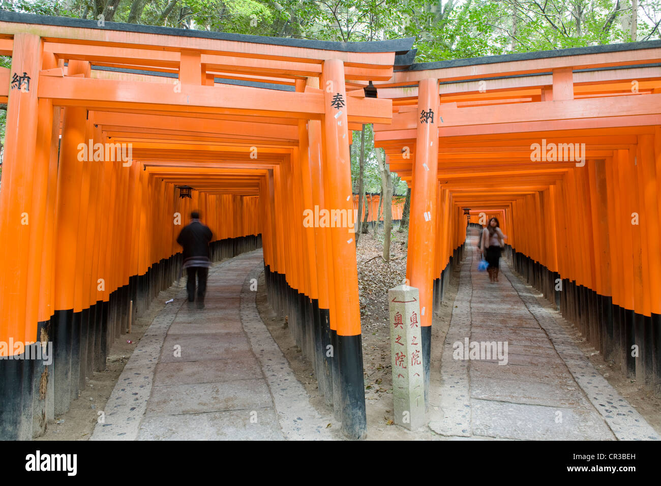 Japan, Honshu Island, Kinki Region, city of Kyoto, Fushimi Inari ...