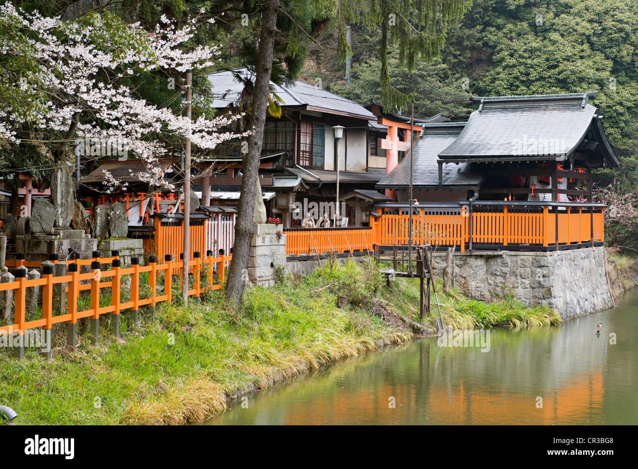 Japan, Honshu Island, Kinki Region, city of Kyoto, Fushimi Inari ...