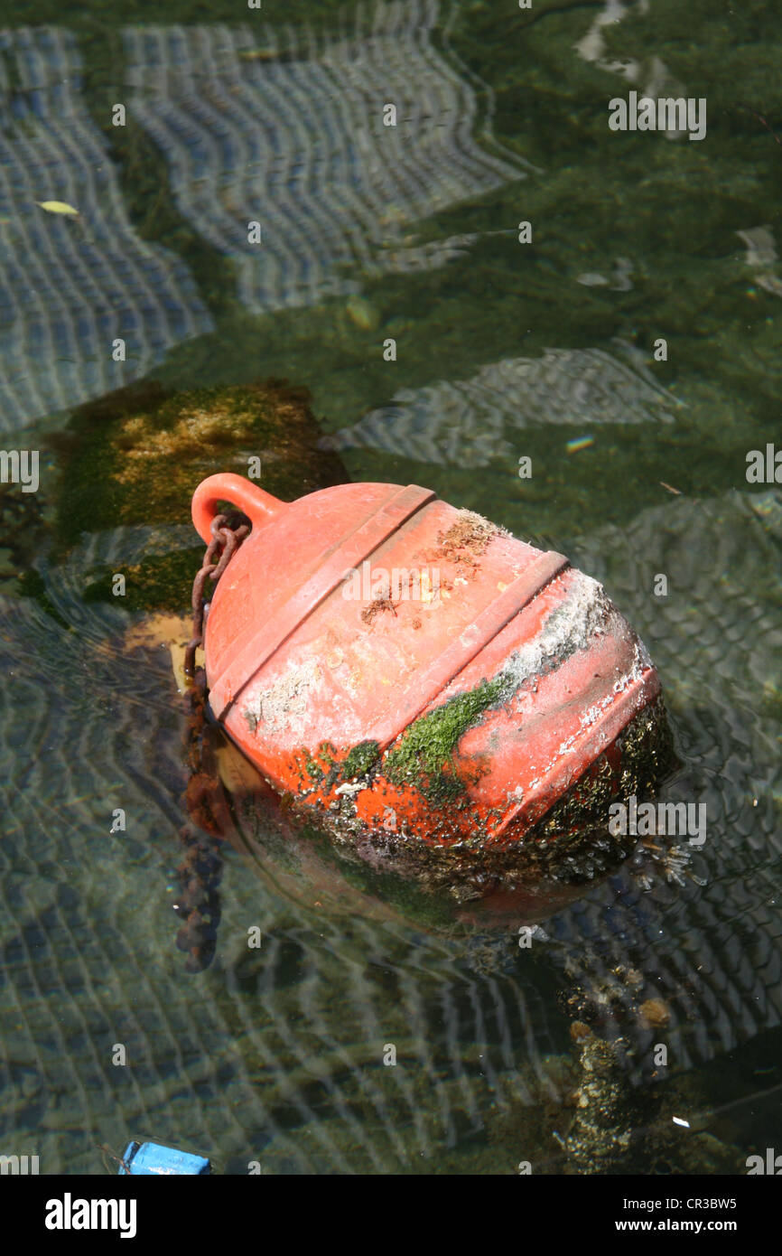 old plastic dirty buoy floating in sea water Stock Photo - Alamy