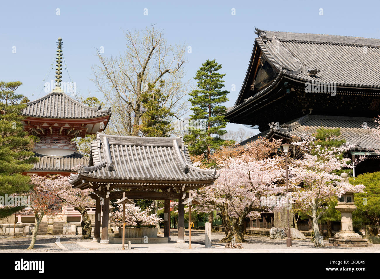 Japan, Honshu Island, Kinki Region, city of Kyoto, temple in the ...