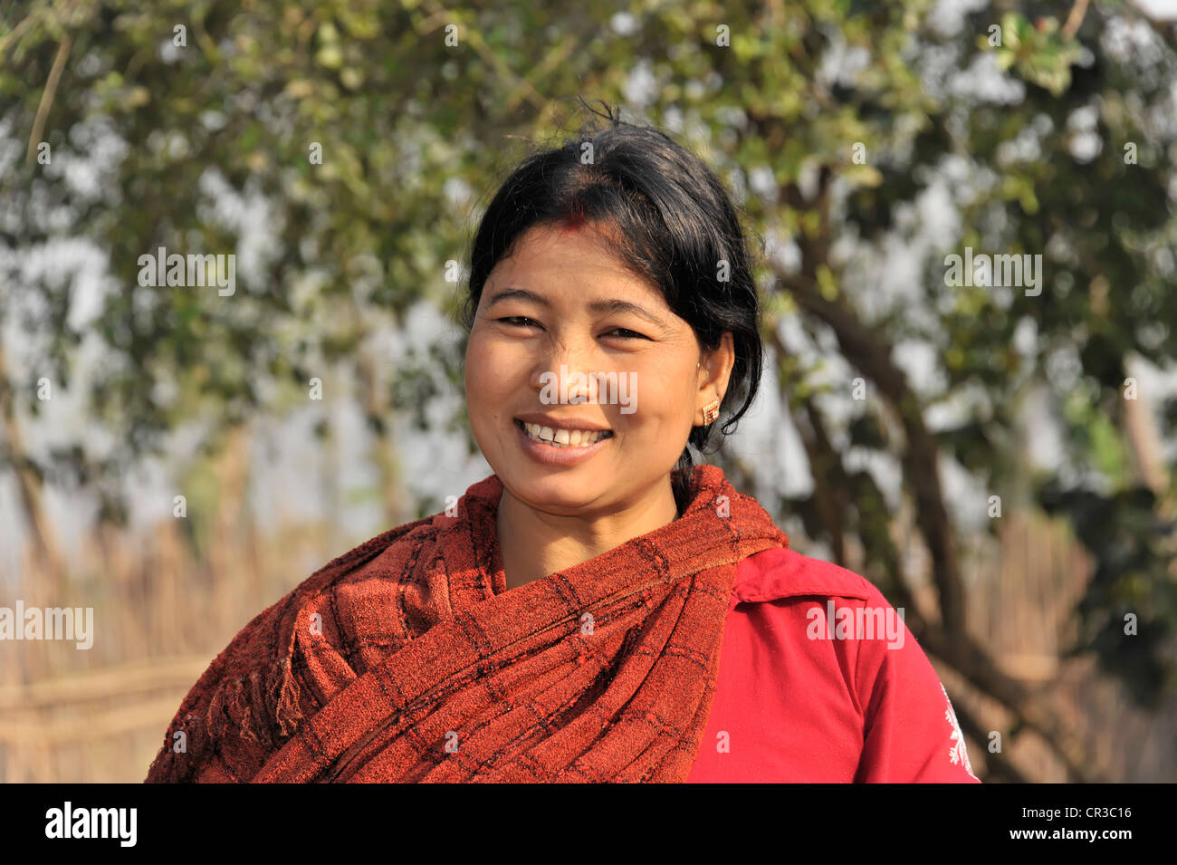 Smiling Nepalese Hindu woman, portrait, Pokhara, Kathmandu, Nepal ...