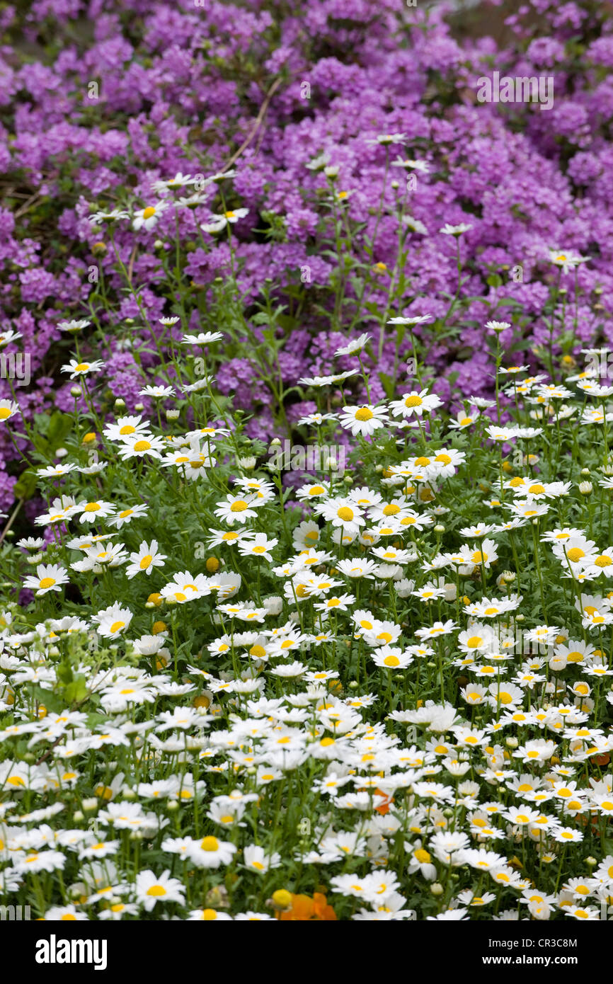 Kyushu japan spring hi-res stock photography and images - Alamy