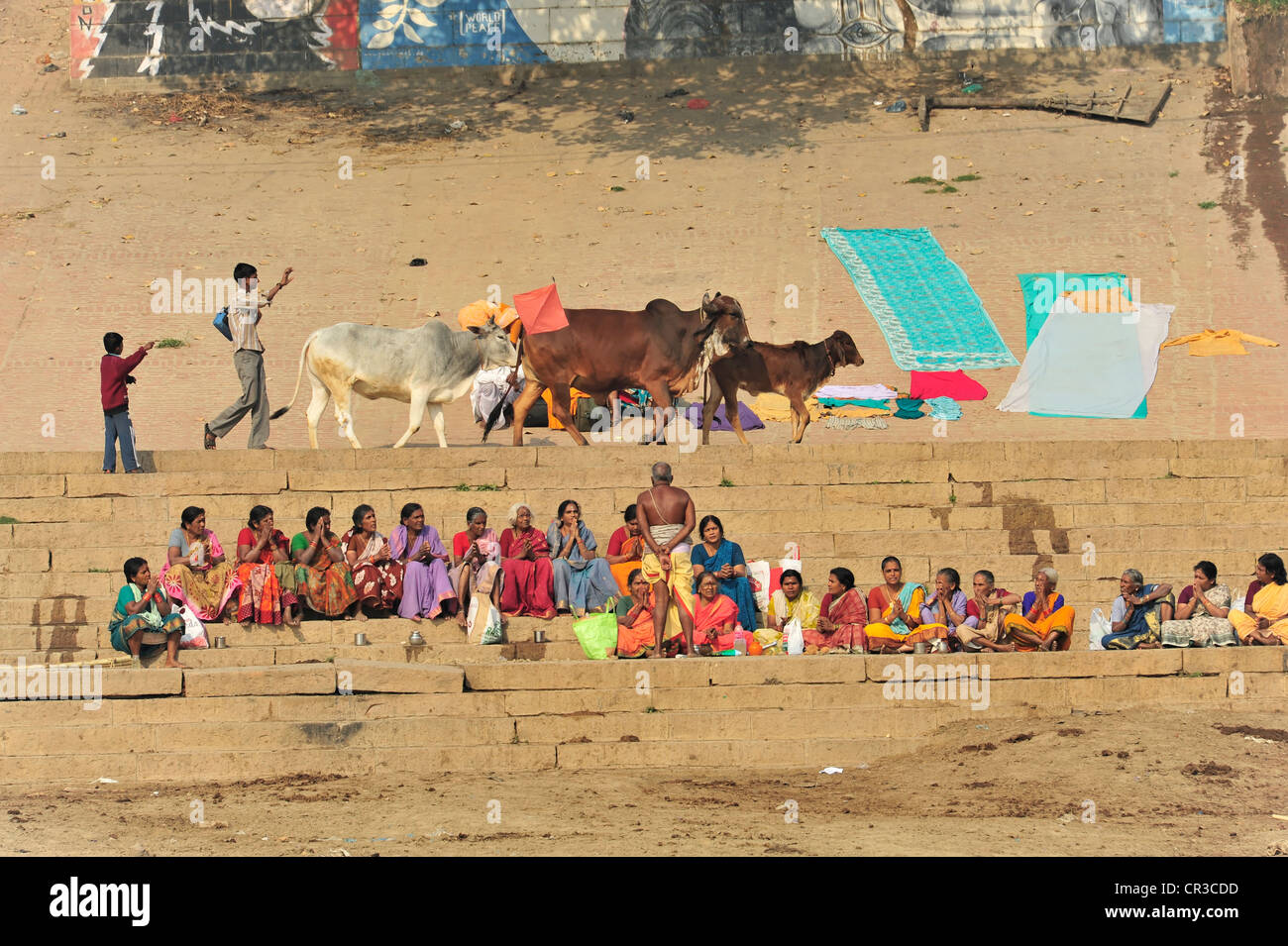 Indian people on the ghats or steps of the Ganges river, Varanasi ...