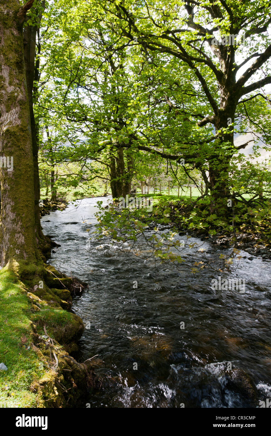 Grisedale Beck in the English Lake District Stock Photo - Alamy