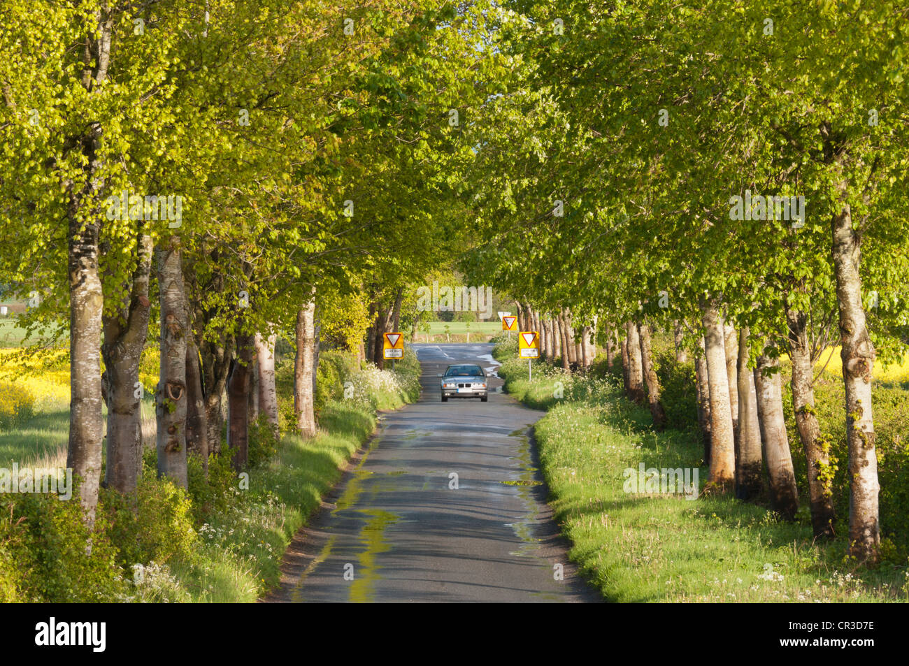 Gloucestershire road hi-res stock photography and images - Alamy
