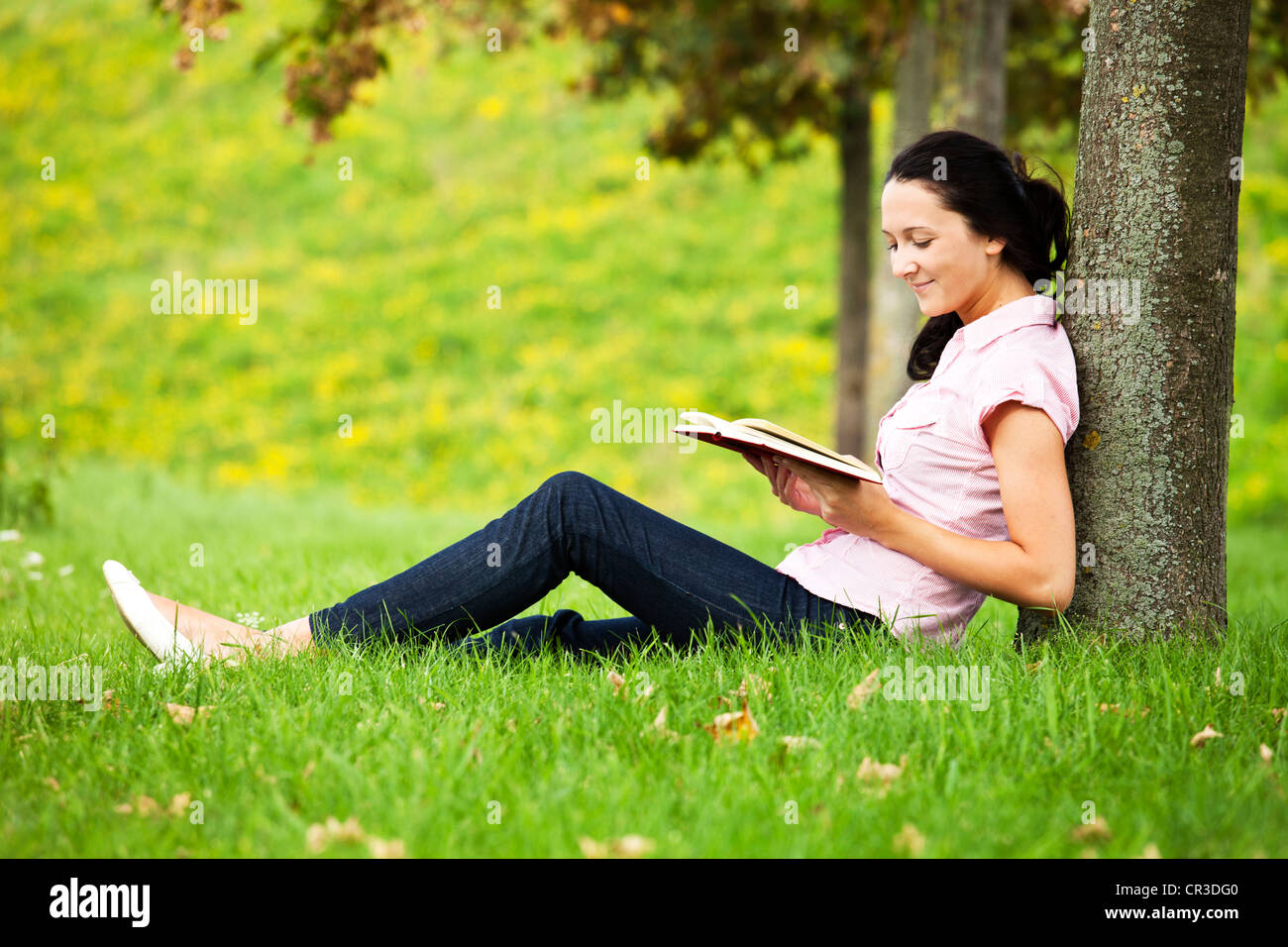 Woman leaning against a tree and reading a book hi-res stock ...