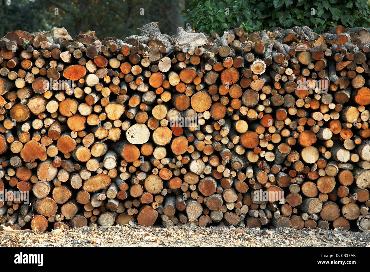 Close-up of a perimeter garden wall made up of fire wood logs in Italy ...