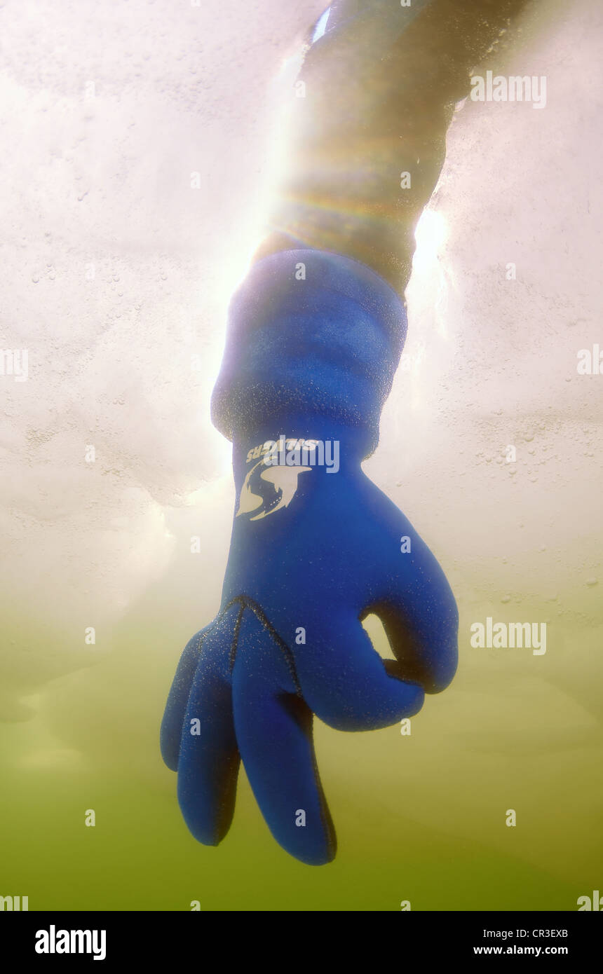 Diver's hand giving the Ok sign, subglacial diving, ice diving, in the ...