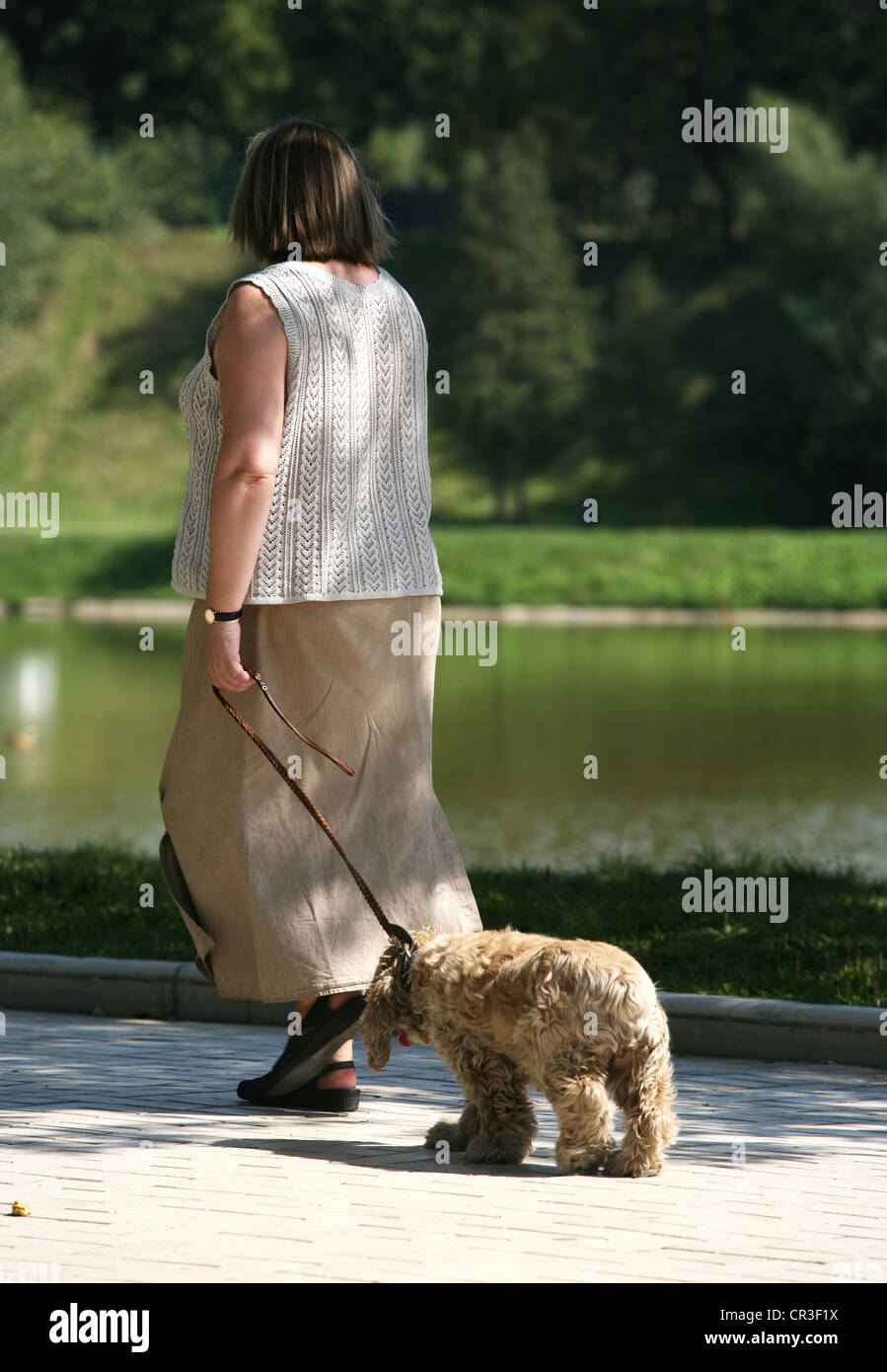 Woman walks with a cocker spaniel Stock Photo - Alamy