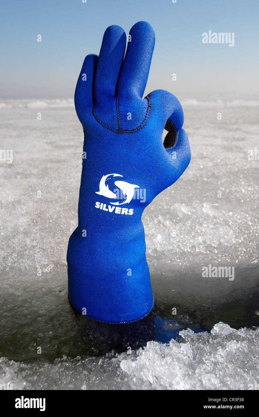 Diver's hand giving the OK sign, subglacial diving, ice diving, in the ...